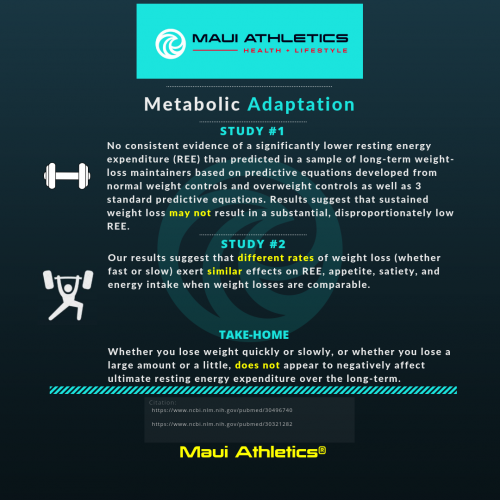 Energy Balance, Metabolic Adaptation, And Starvation Mode - Maui Athletics