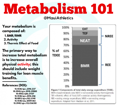 Non-Exercise Activity Thermogenesis - Maui Athletics