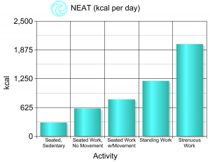 Non-Exercise Activity Thermogenesis - Maui Athletics