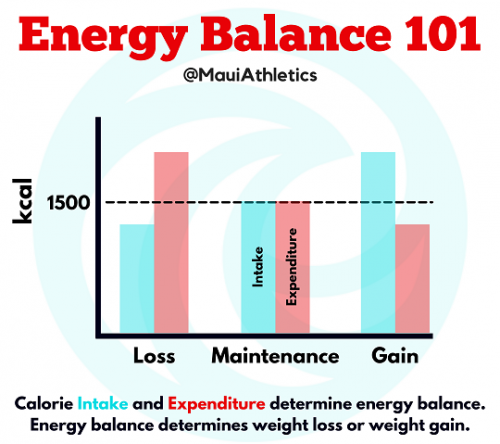 Energy Balance, Metabolic Adaptation, And Starvation Mode - Maui Athletics